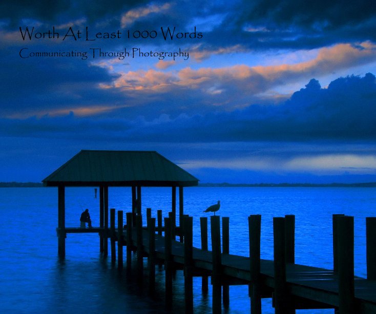 Worth At Least 1000 Words By Donna M Weber Md Blurb Books