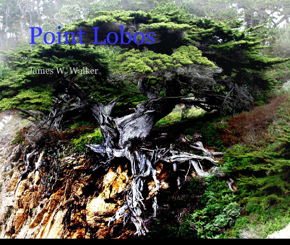 Point Lobos by James W. Walker | Blurb Books