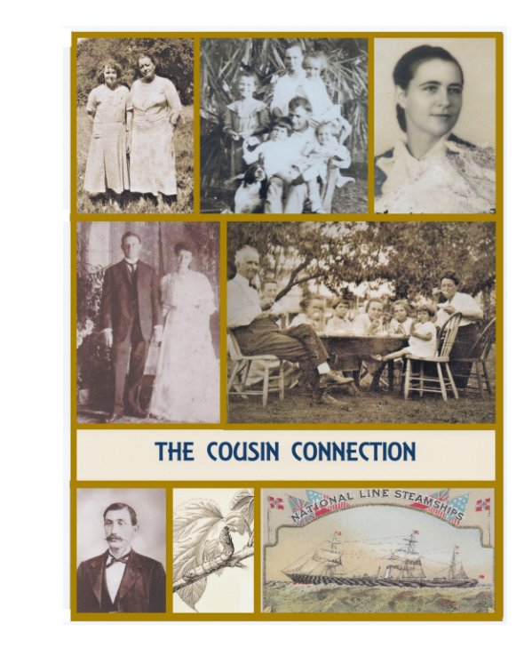 The Cousin Connection By Gillian Fosdick Blurb Books