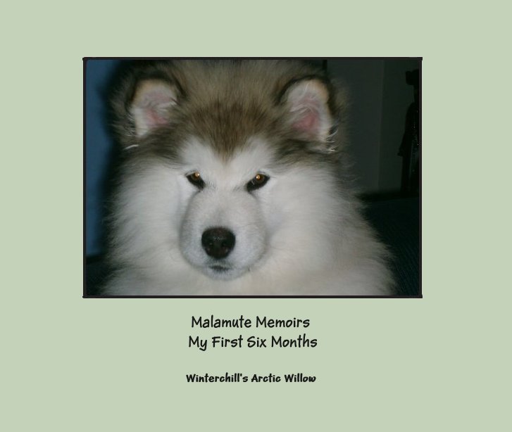 Malamute Memoirs My First Six Months by Winterchill's Arctic Willow ... Malamute Memoirs My First Six Months by Winterchill's Arctic Willow ...