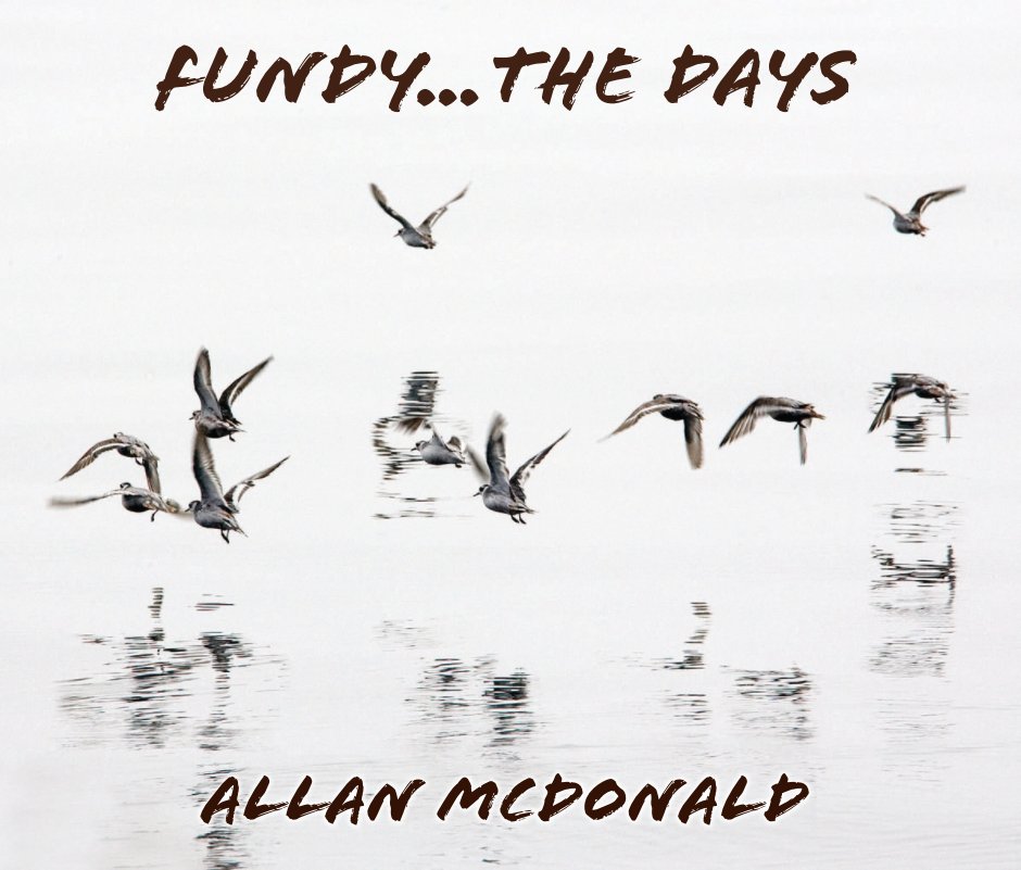 Fundythe Days By Allan Mcdonald Blurb Books