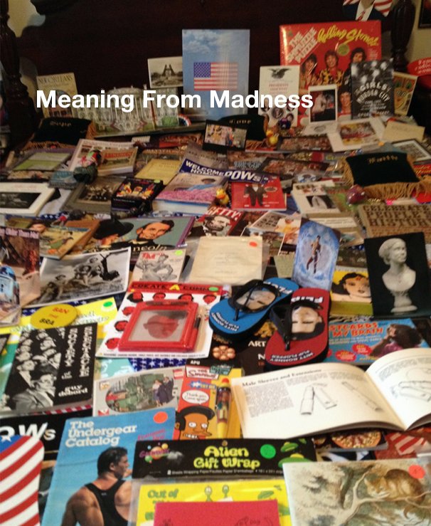 Meaning From Madness By Hannah hoch Blurb Books meaning-from-madness-by-hannah-hoch-blurb-books