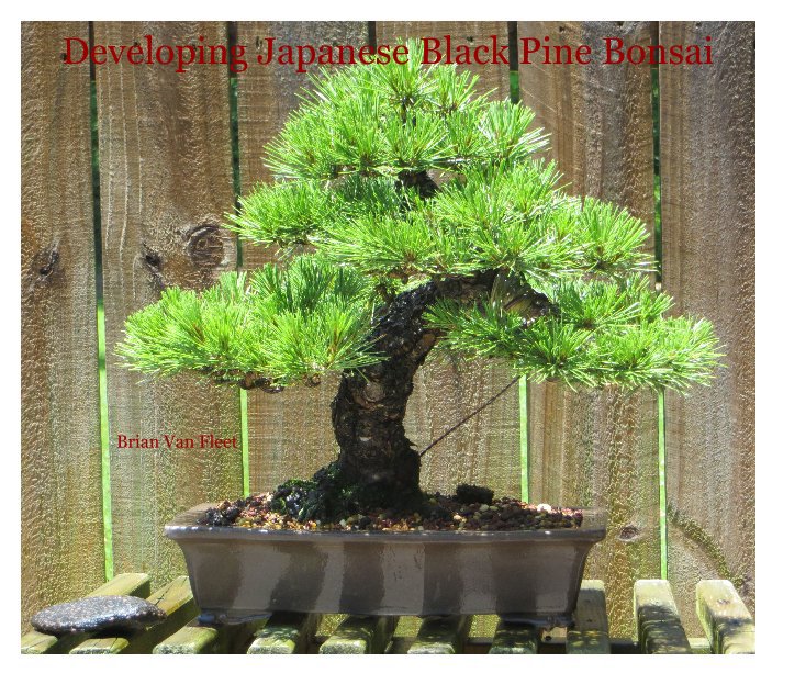 Developing Japanese Black Pine Bonsai By Brian Van Fleet Blurb Books Canada