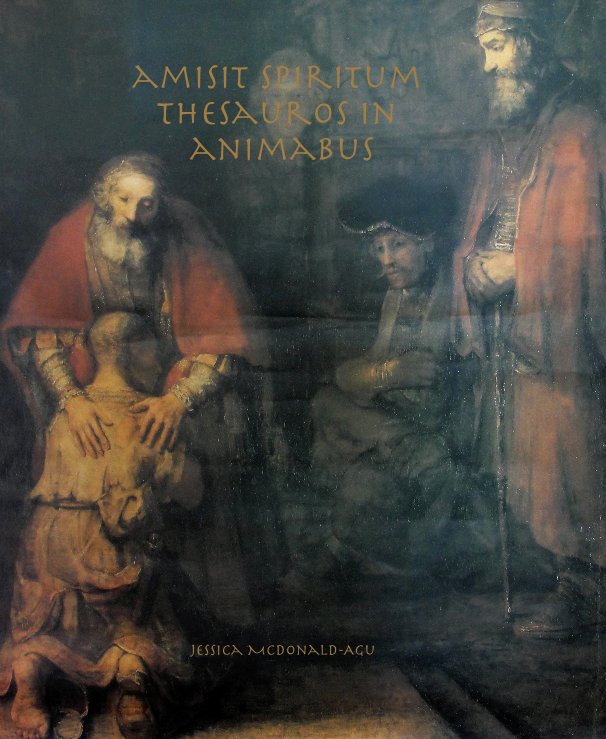 Amisit Spiritum Thesauros In Animabus By Jessica Mcdonald Agu Blurb Books
